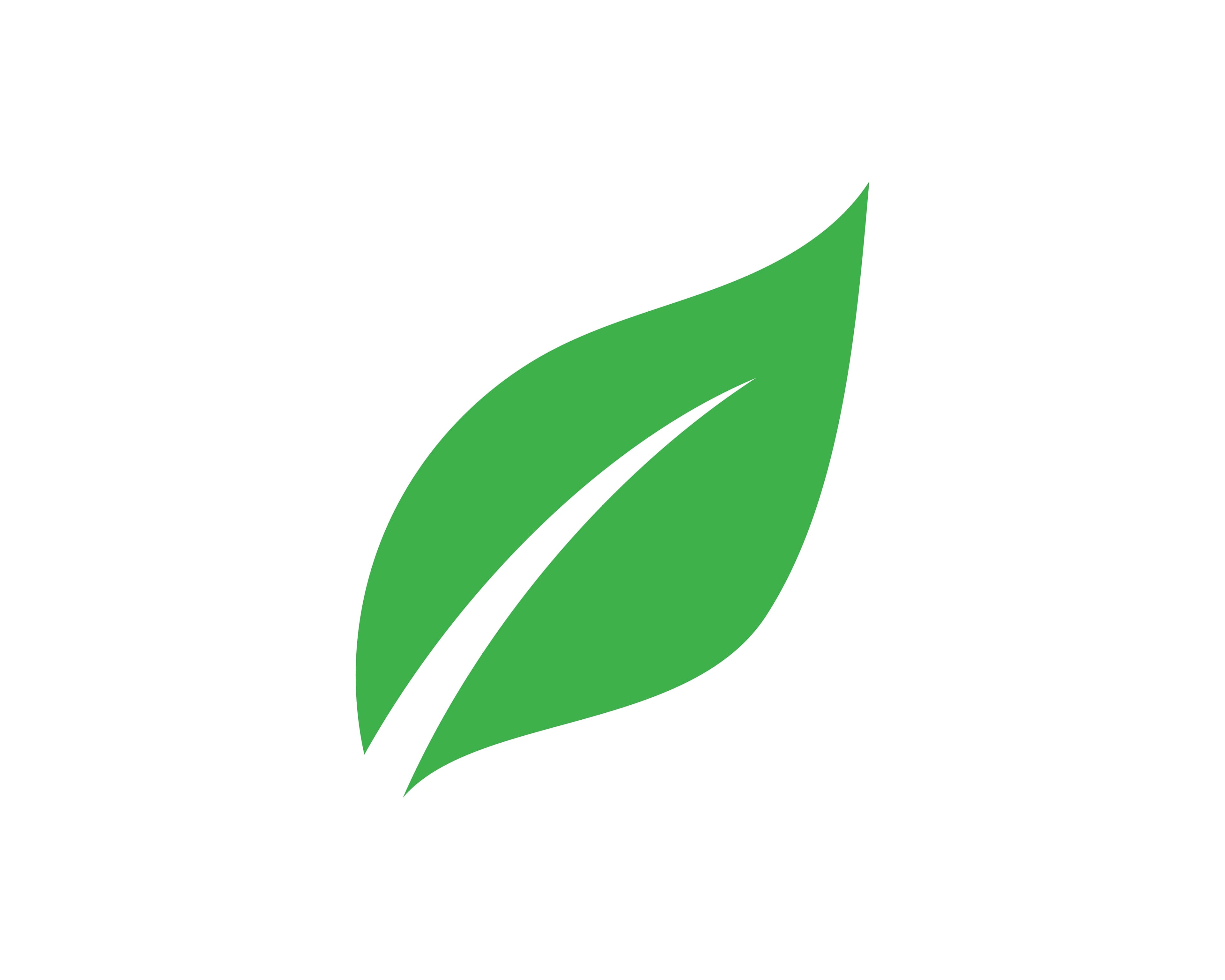 Green Composites